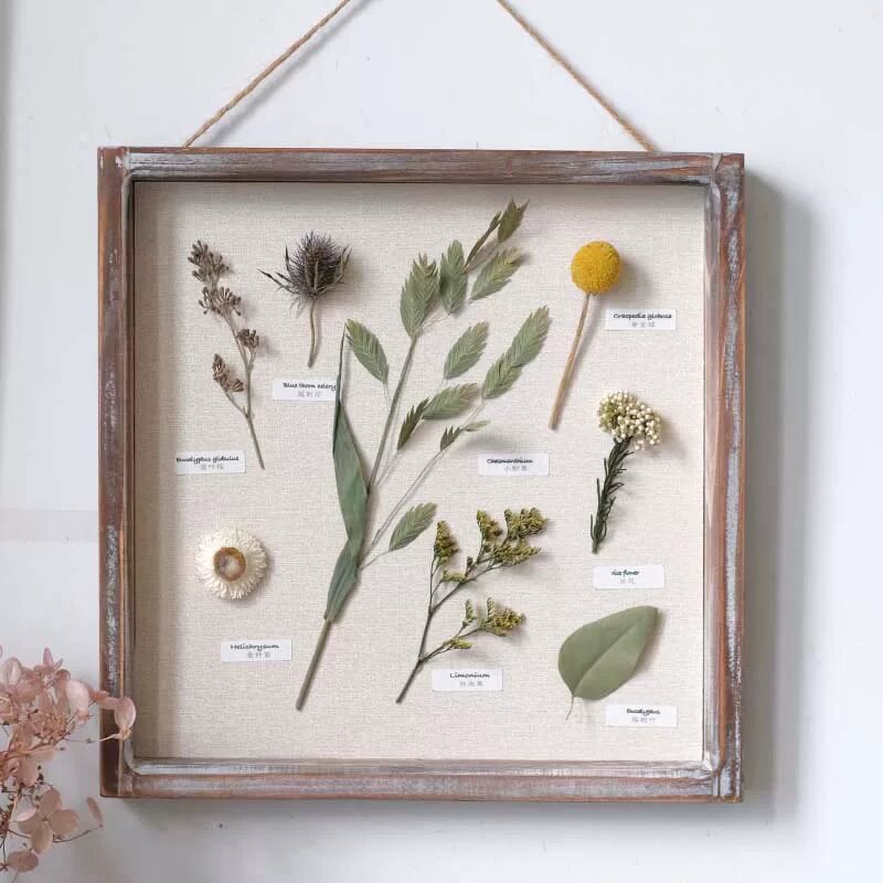 Фоторамка с сухоцветами, настенное панно, декор из натуральных цветов, коллекционный образец растения, в стиле