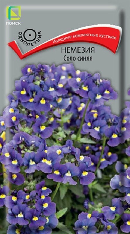 Семена цветов немезия Соло синяя, для дачи, сада, огорода и на рассаду