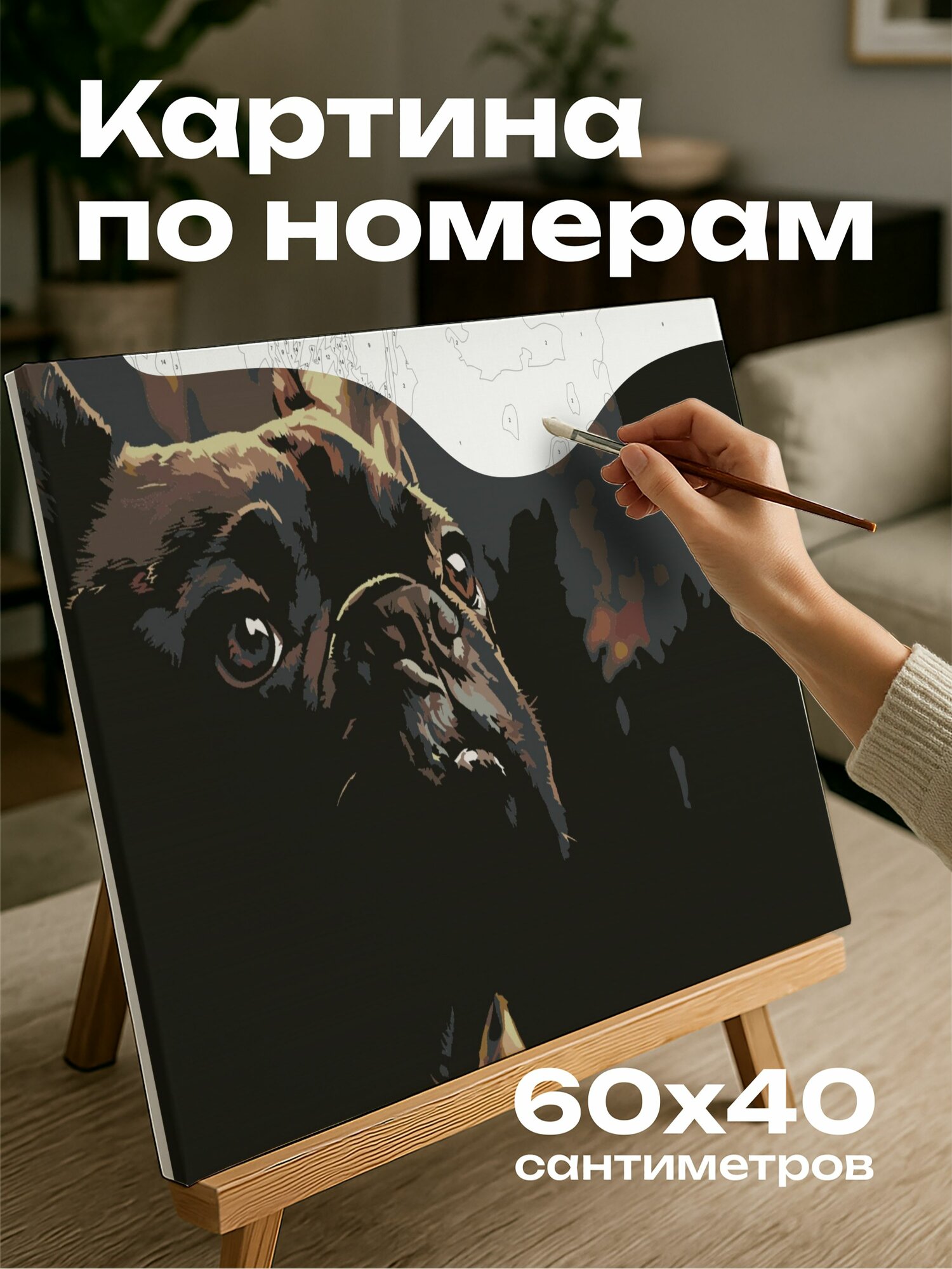 Картина по номерам 60x40 см, французский бульдог, морда, мимические морщинки, глаза, естественное освещение