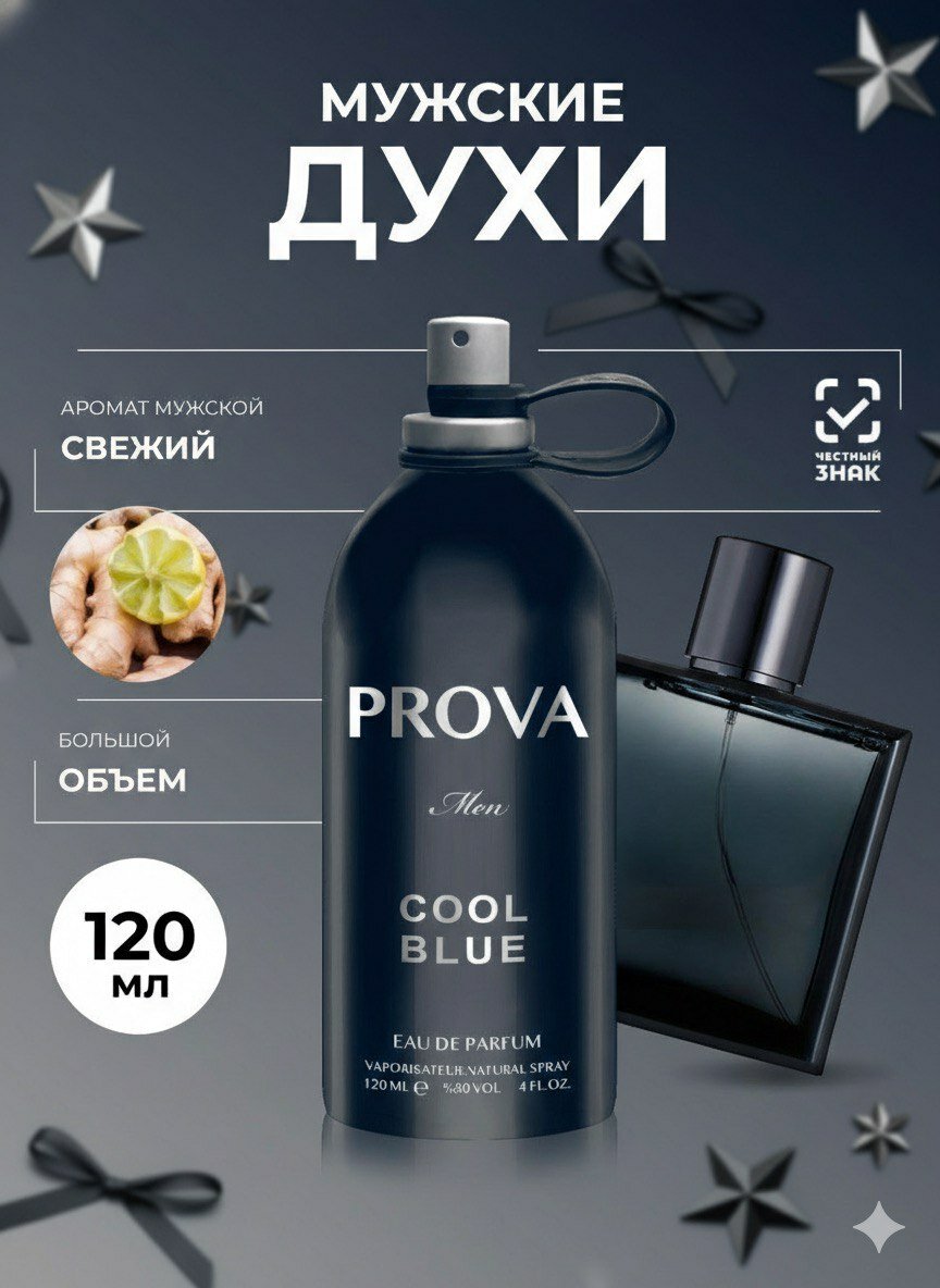 Духи мужские COOL BLUE PROVA, мужские стойкие, парфюм объемом 120 мл
