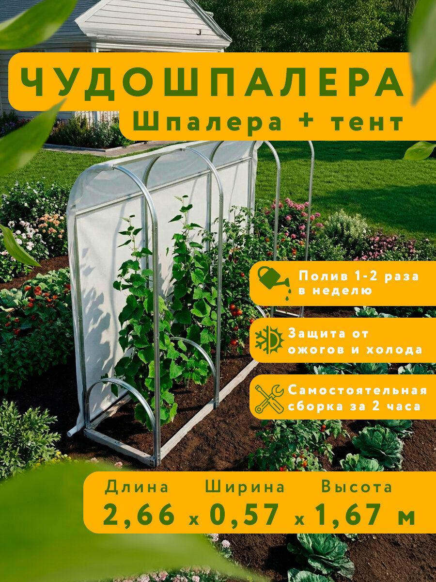 Шпалера Чудошпалера стальная с тентом Reifenhauser 50 г/м, 2.66х1.67 м, для огурцов, винограда, томатов, мини-теплица