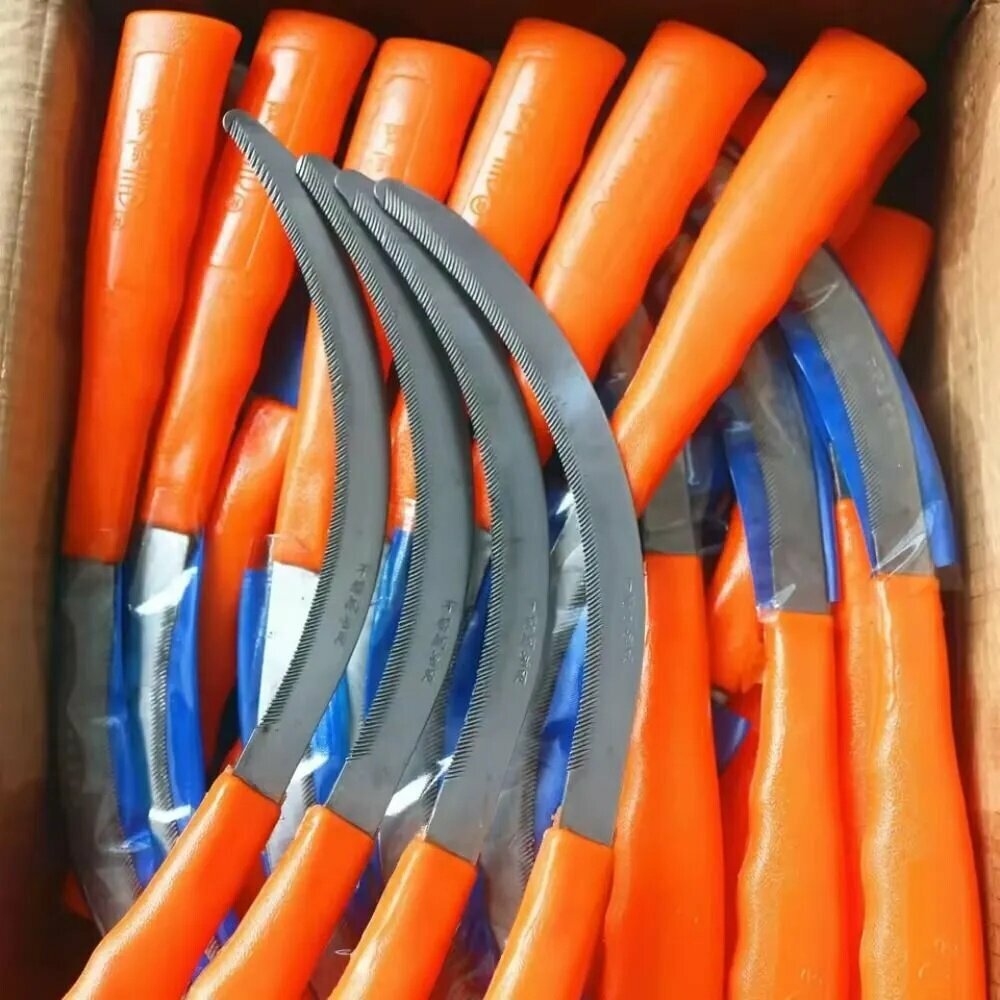 Кустодер , Нержавеющая сталь