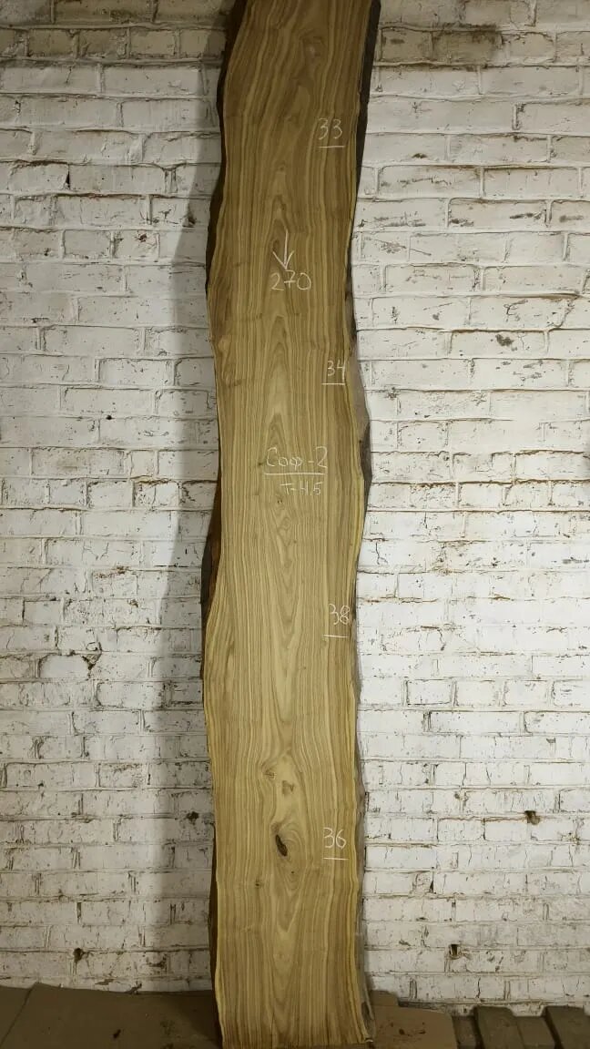 Слэб Японская софора Соф2, выровнен в плоскости, уникальная текстура дерева