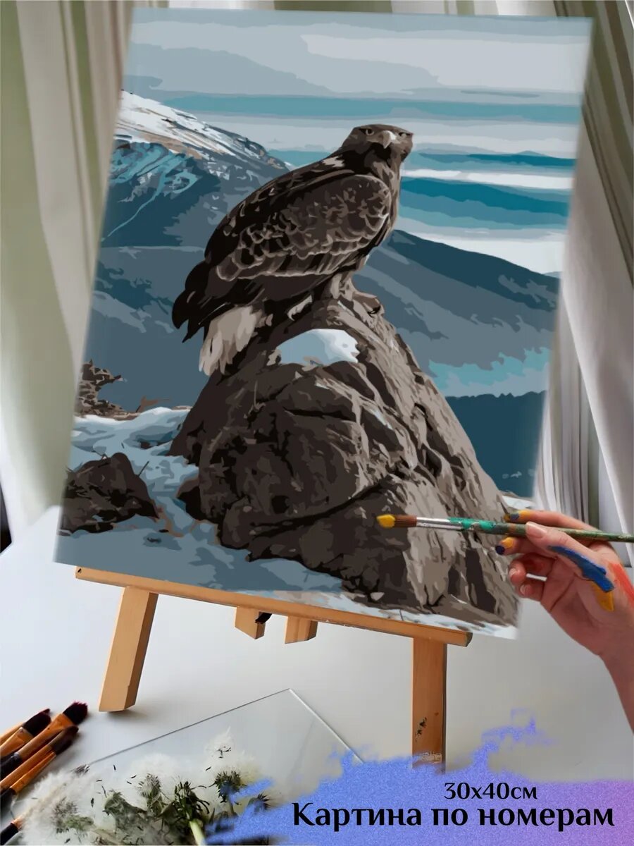 Картина по номерам орел