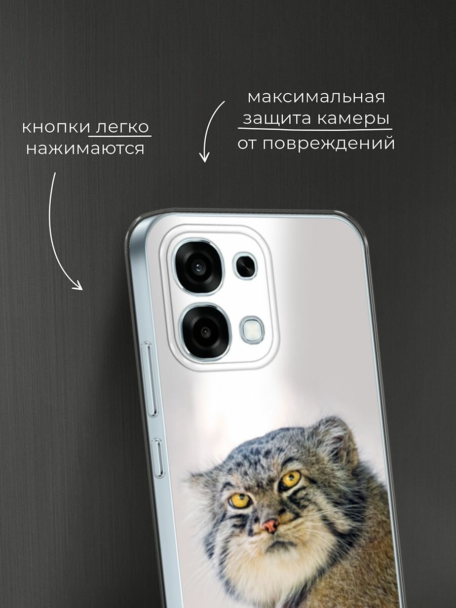 Силиконовый чехол на Oppo A6 Pro / Оппо A6 Про с принтом Кот манул 1 — фото 1