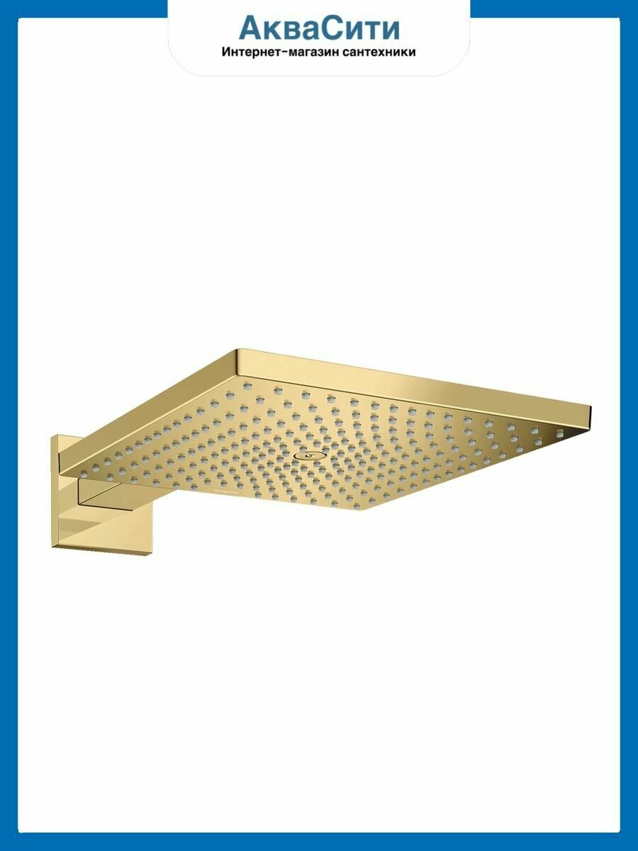 Верхний душ 300 1jet Hansgrohe Raindance E 26238990