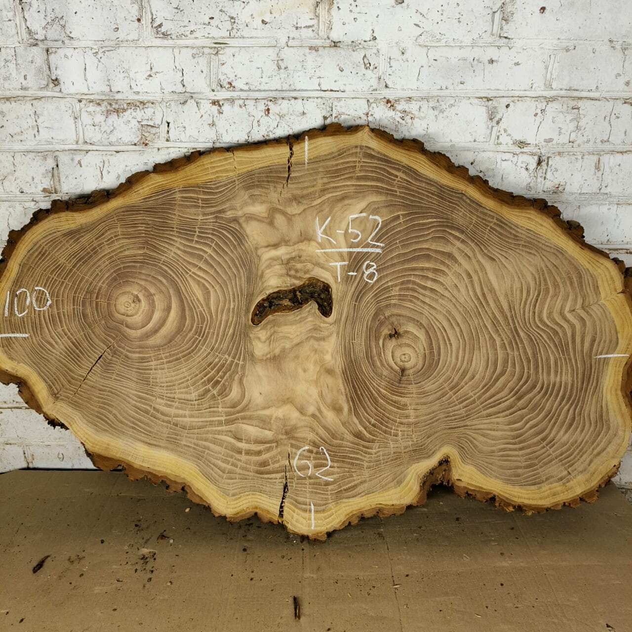 Торцевой спил дерева Карагач К-52, диаметр 62-100, выровнен в плоскости