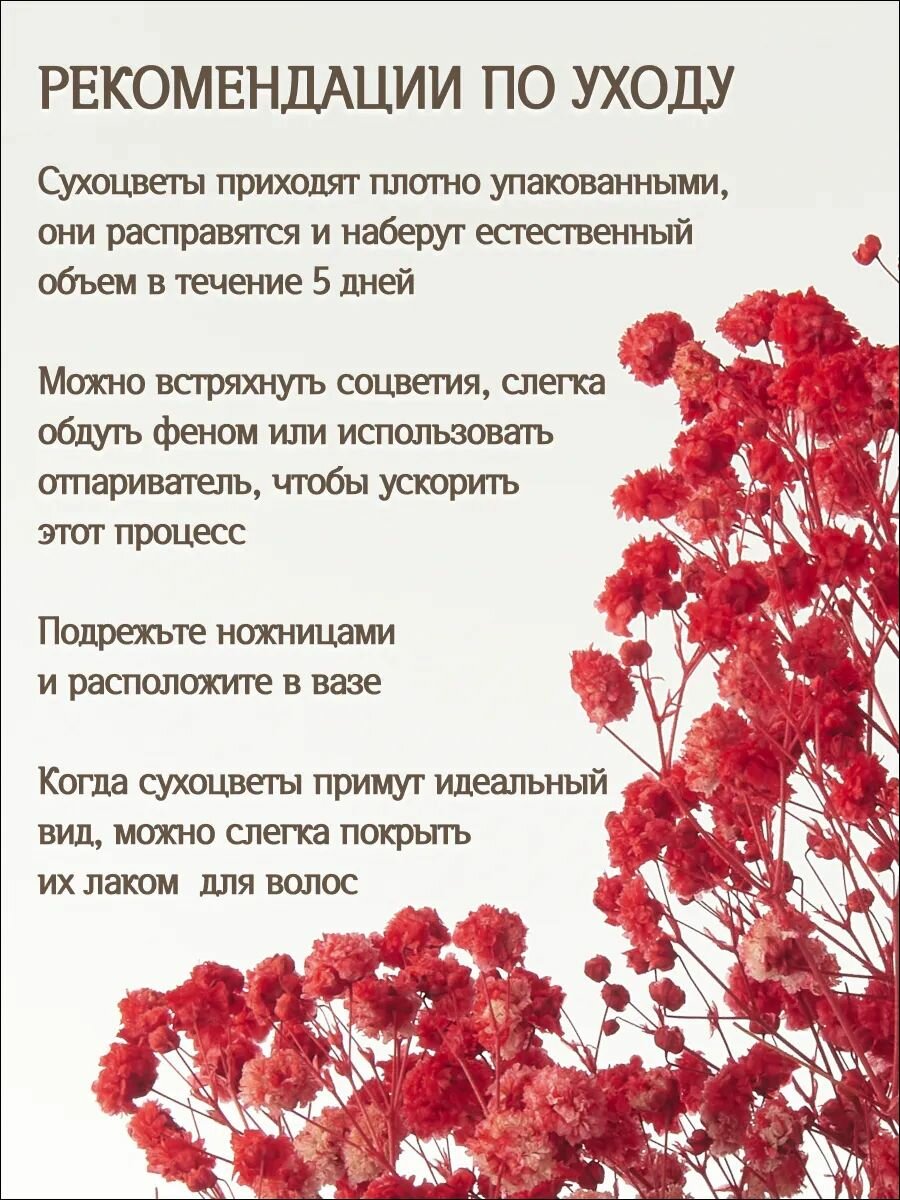 Стабилизированные цветы — фото 1