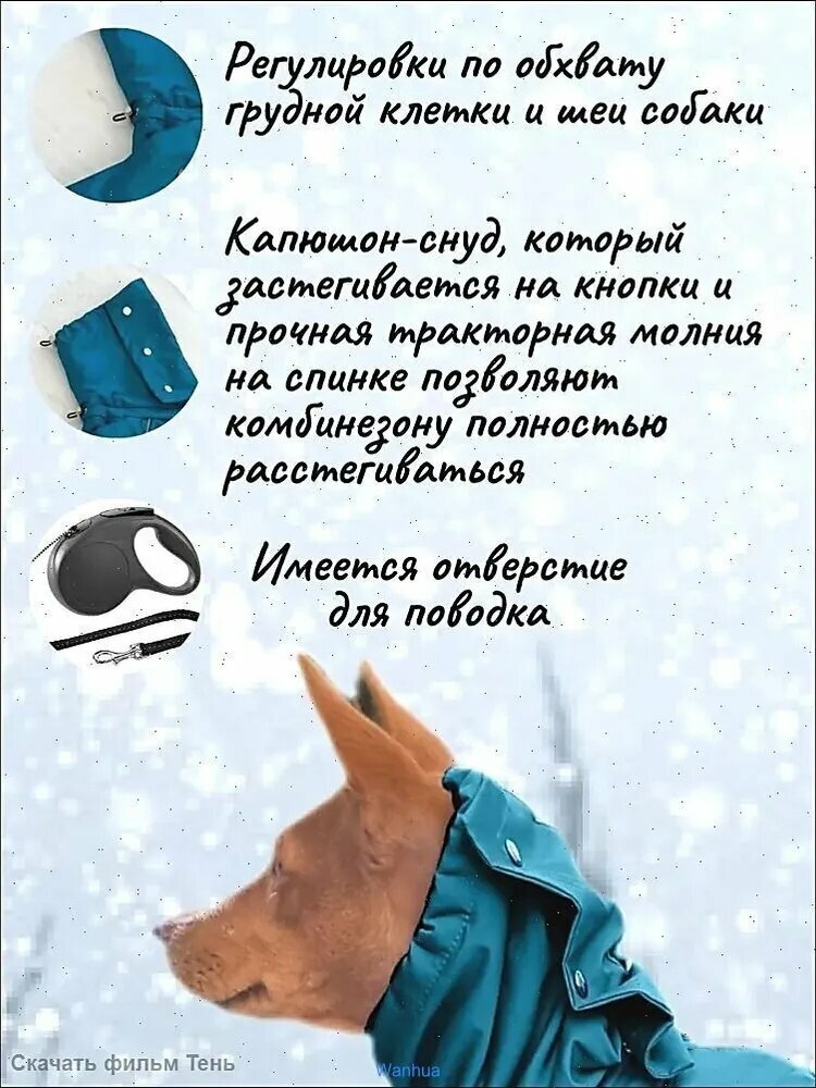 Одежда для животных — фото 1