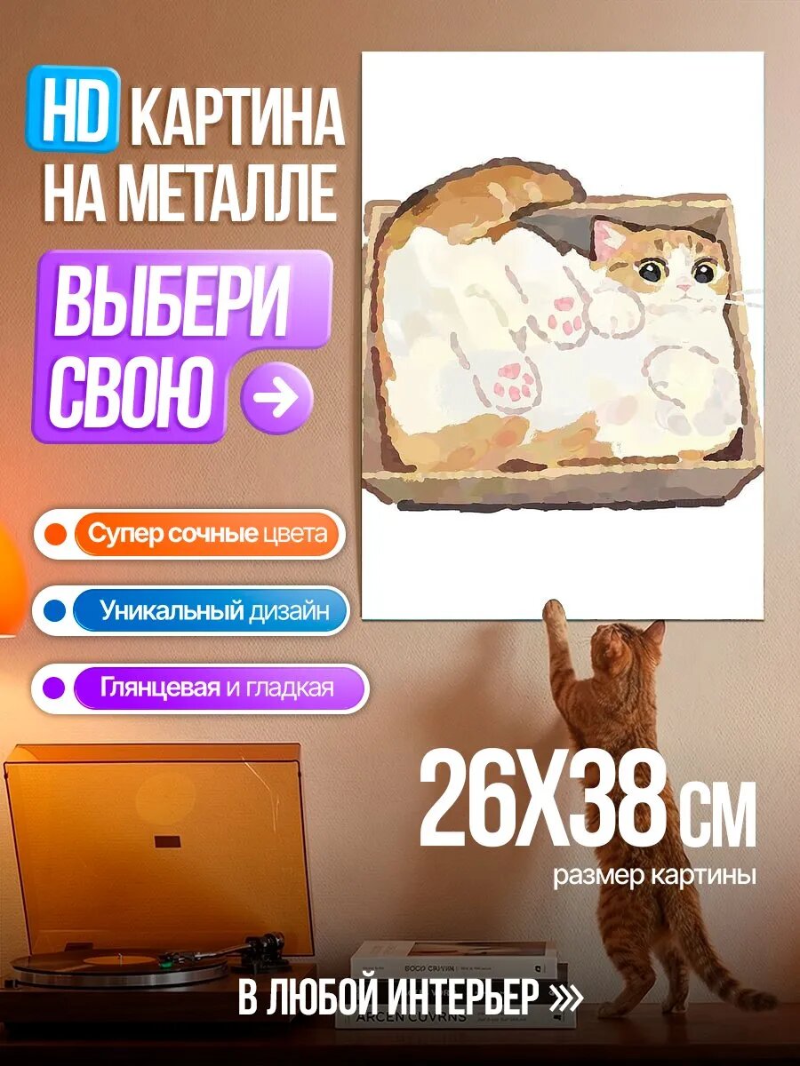Картина на HD металле Кот в коробке