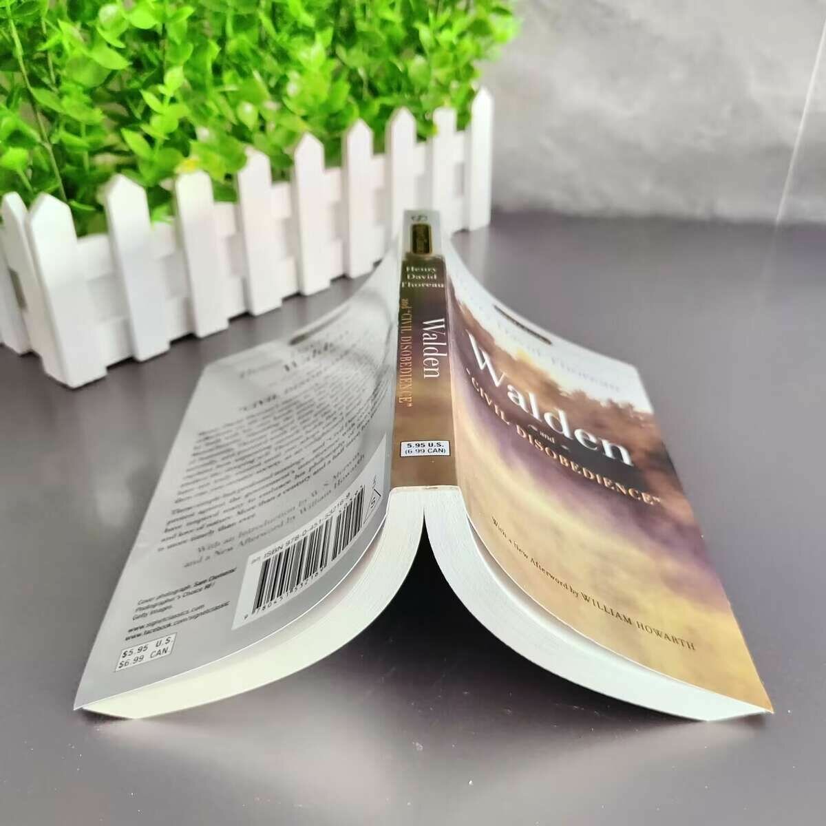 Печатная книга — фото 1