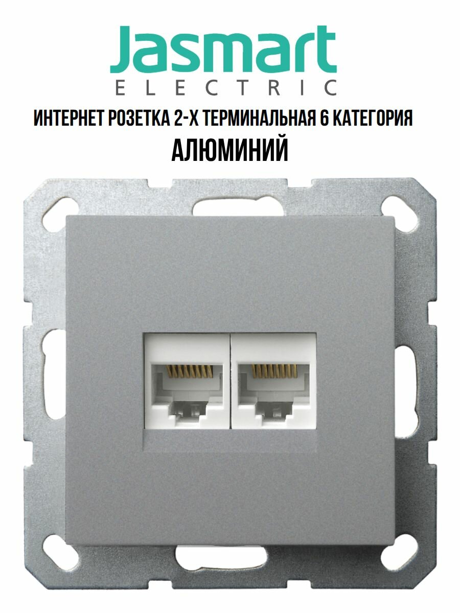 Интернет розетка 2х терминальная 6 категория