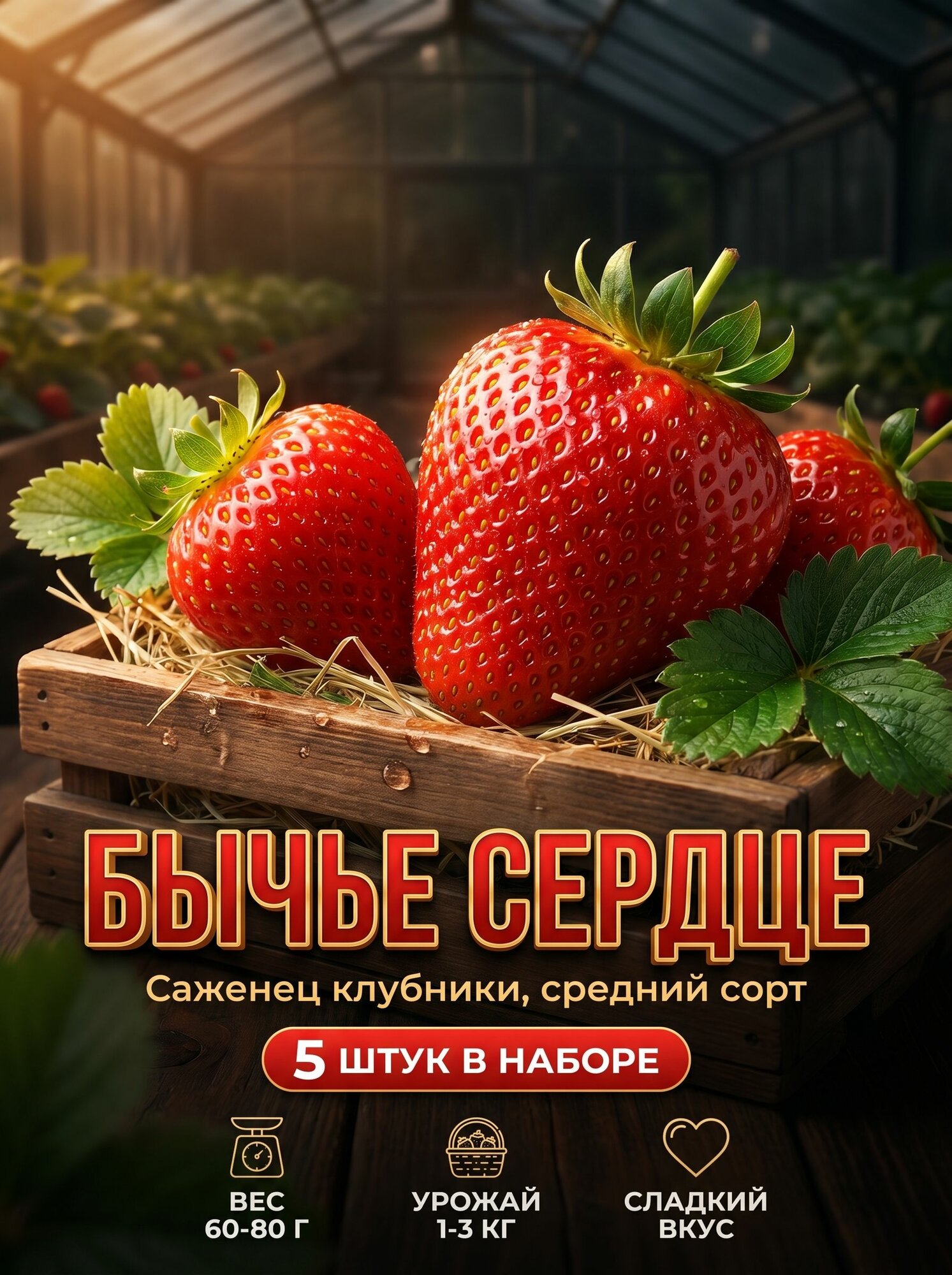 Саженцы клубники бычые сердце 5-шт, доедет хоть куда