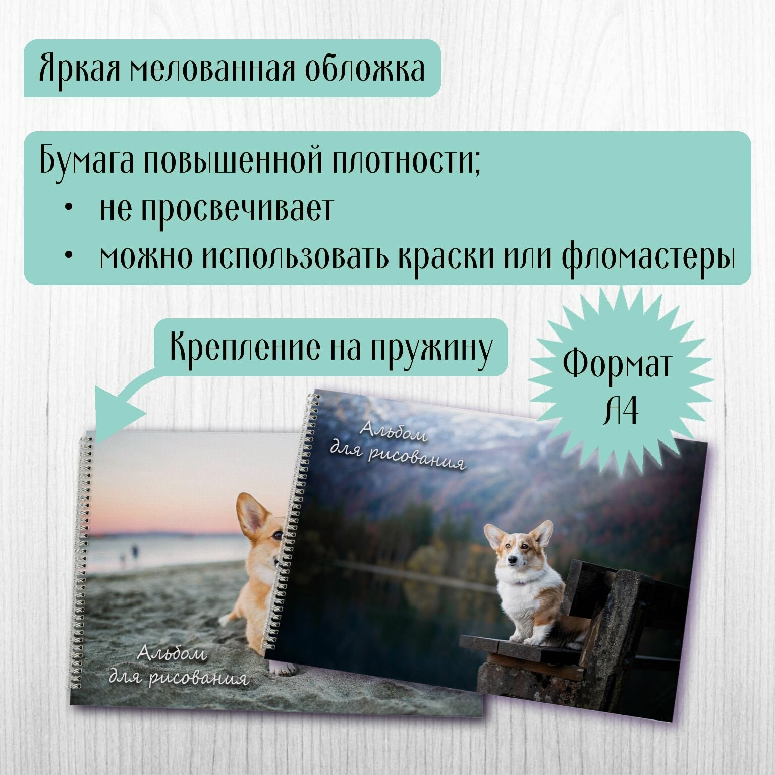 Альбомы для рисования Корги — фото 1
