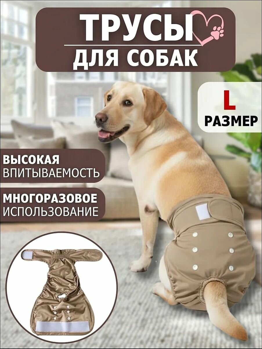 Многоразовые трусы для собак при течке, Размер M, обхват талии 40-70 см