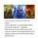 Magic: The Gathering Quantum Misalignment WHO #368