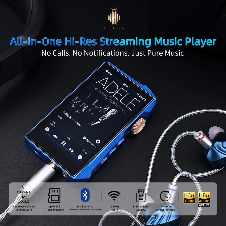 HIDIZS AP80 Pro Max, Leather Case Black — фото 1
