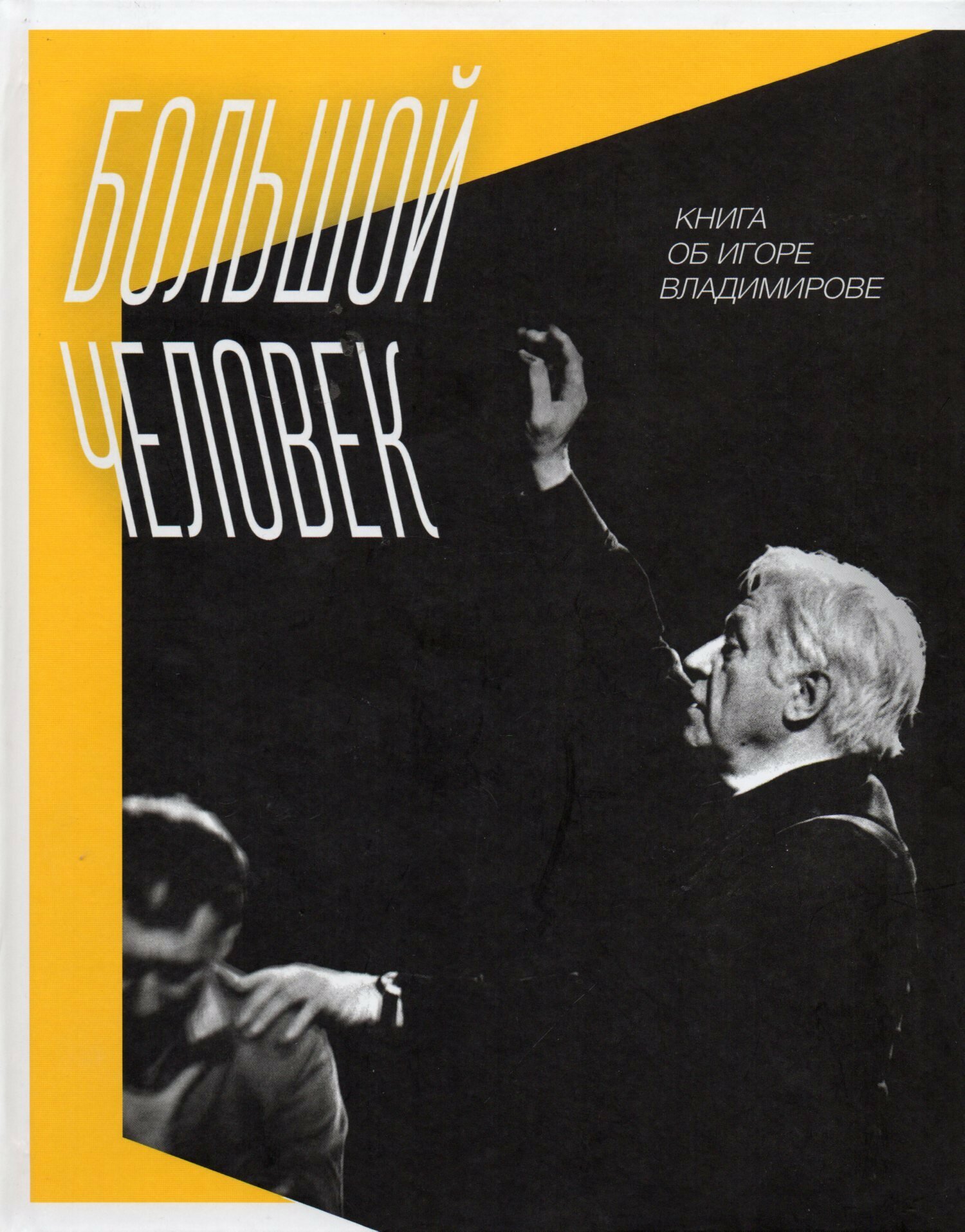 Большой человек: Книга об Игоре Владимирове