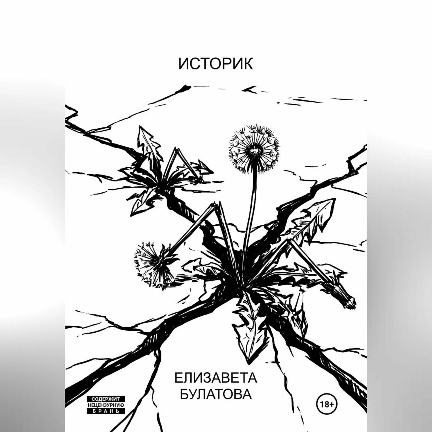 Историк [Аудиокнига]