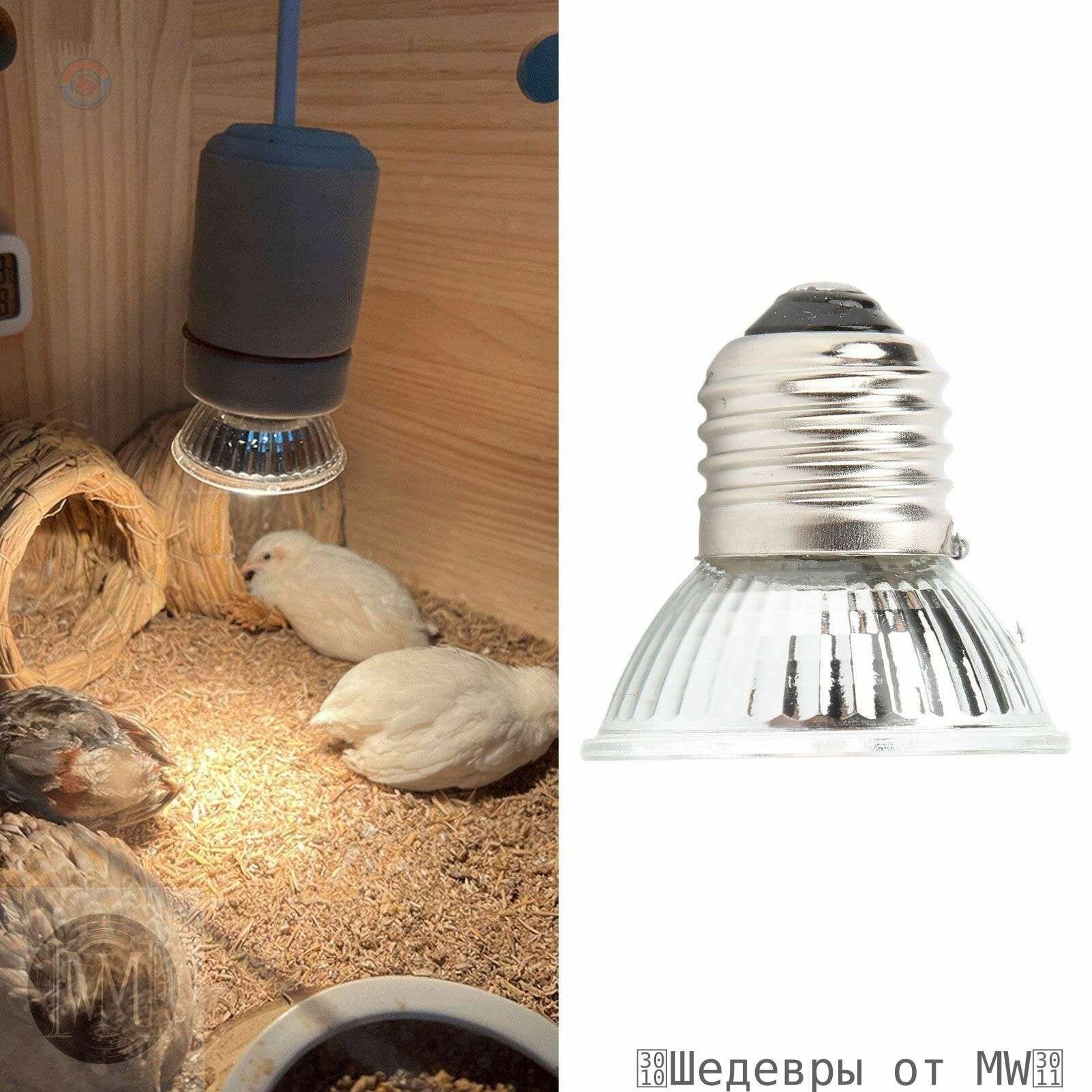 UVB лампа для обогрева и здоровья сельскохозяйственных животных и рептилий, энергосберегающая полного спектра с имитацией солнечного света, E27 75w, для черепах, попугаев, кур и других питомцев