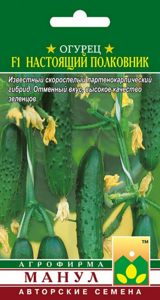 Семена огурец Настоящий Полковник - самоопыляемый , засолочный гибрид.