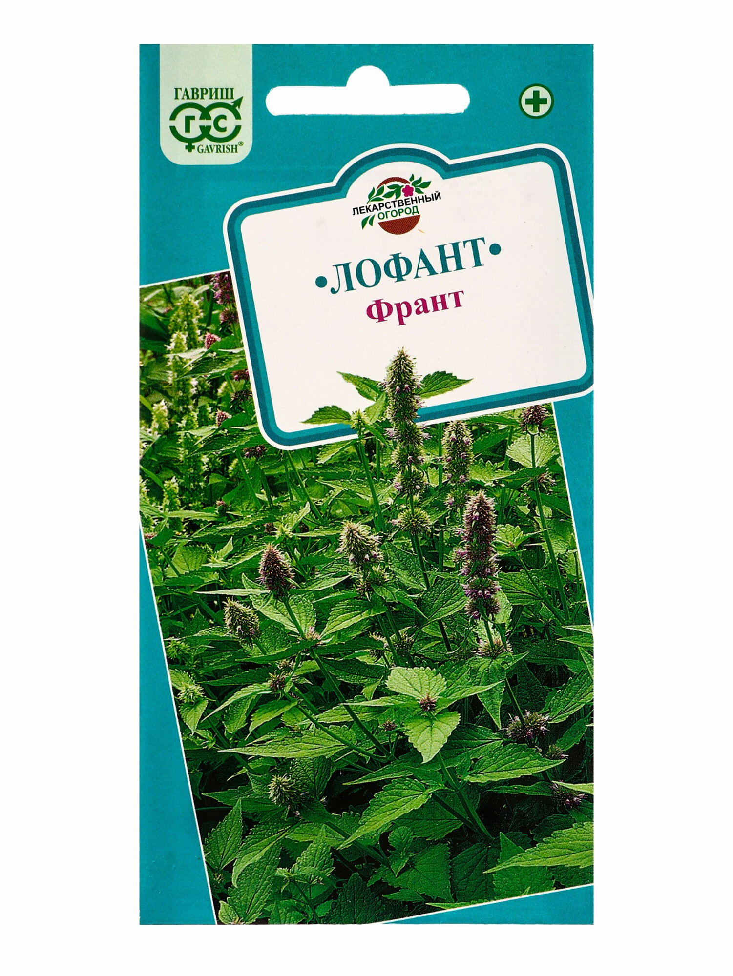 Семена Лофант анисовый "Франт", 0.3 г, цветение период: август