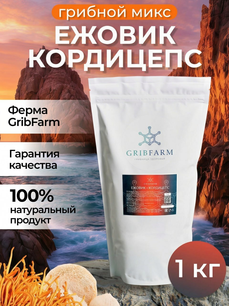 Грибы Ежовик гребенчатый + Кордицепс милитарис / Ноотроп 1кг