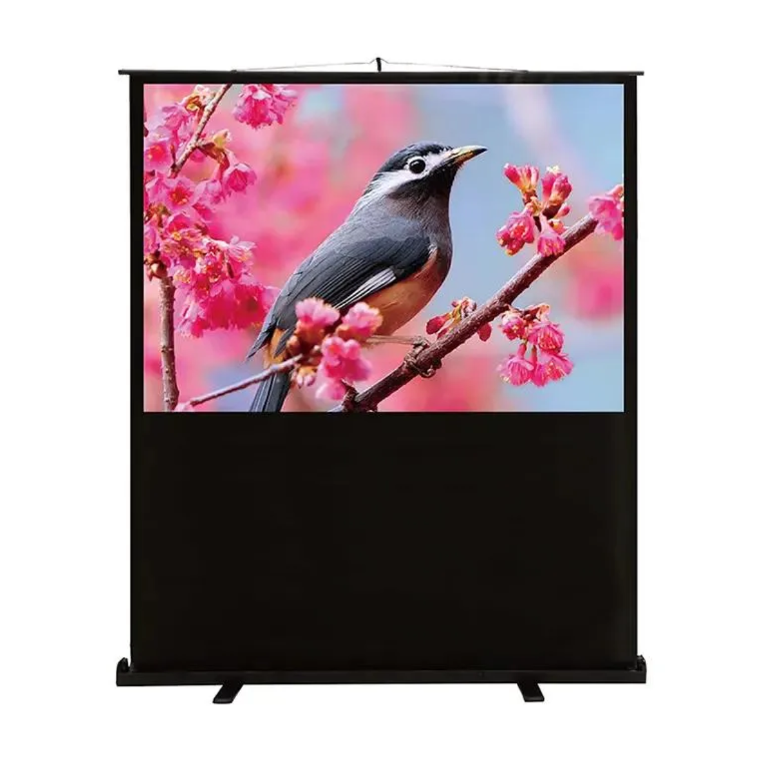 Экран для проектора Cactus FloorCompactExpert CS-PSFLCE-120X90 59", напольный, рулонный, 20x90 см, 4:3, черный