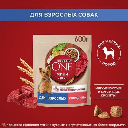 Purina ONE мини 2 шт по 600 г сухой корм для взрослых собак мелких и карликовых пород, с высоким содержанием говядины и с рисом