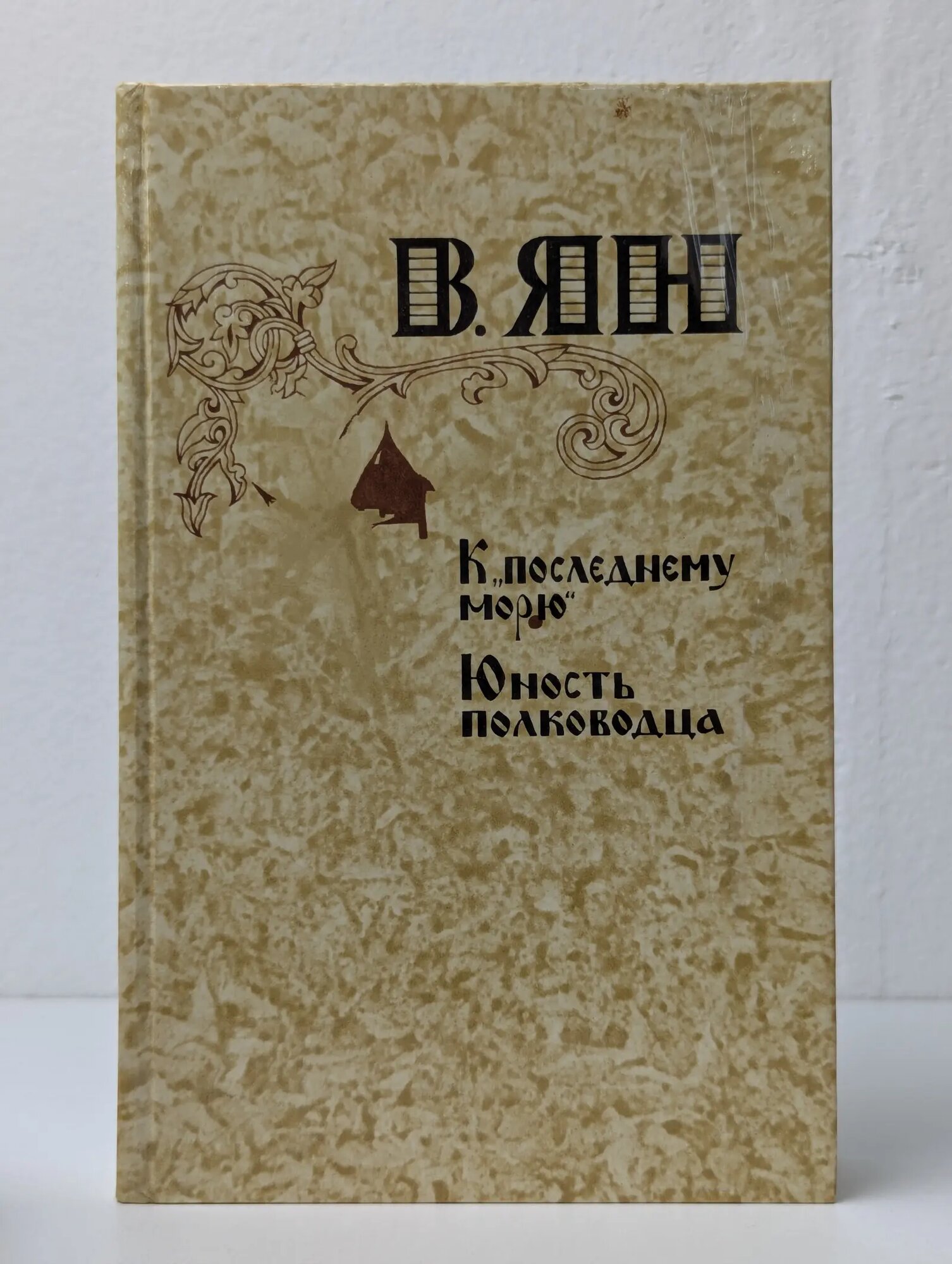 К последнему морю. Юность полководца Ян Василий Георгиевич 1981