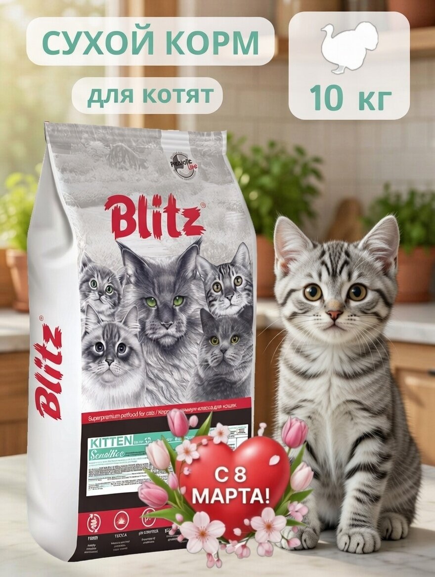Корм для котят сухой Blitz Sensitive Kitten с индейкой, 10 кг