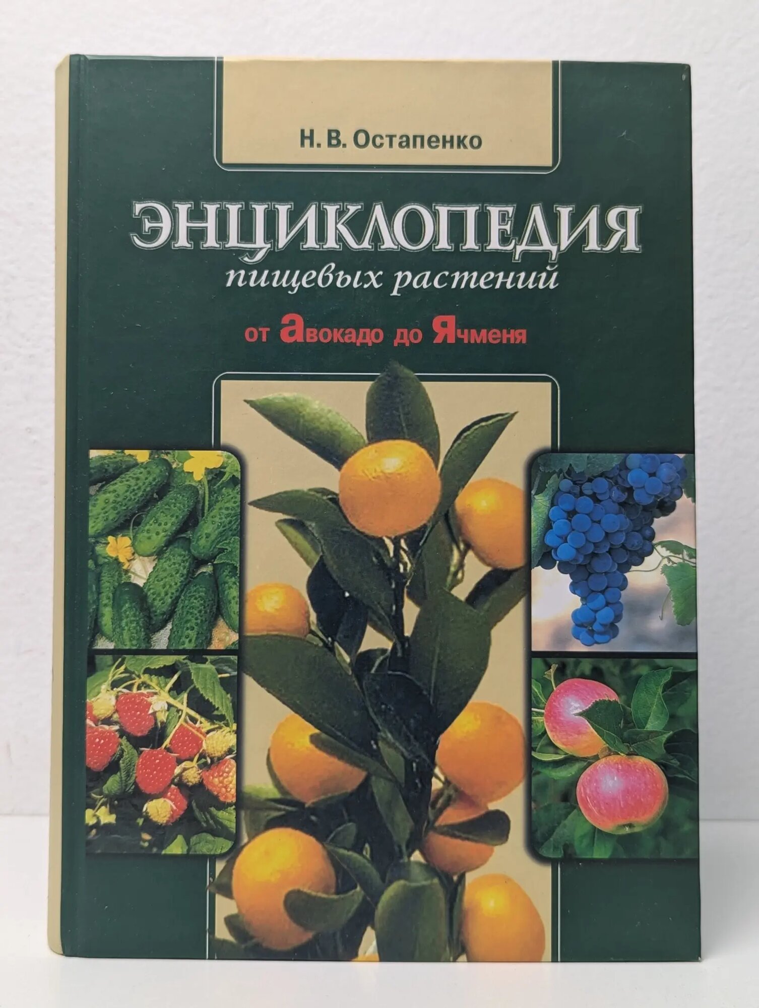Энциклопедия пищевых растений. От авокадо до ячменя Остапенко Надежда Викторовна 2006