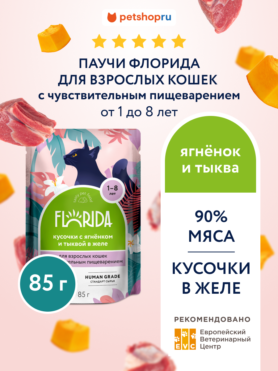 FLORIDA Паучи для кошек, влажный корм для взрослых кошек с чувствительным пищеварением, кусочки с ягненком и тыквой в желе, 1 шт, 85 г