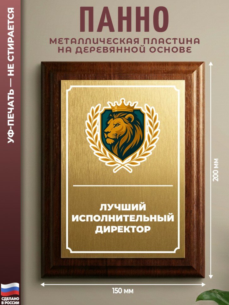 Настенный диплом "Лучший исполнительный директор"