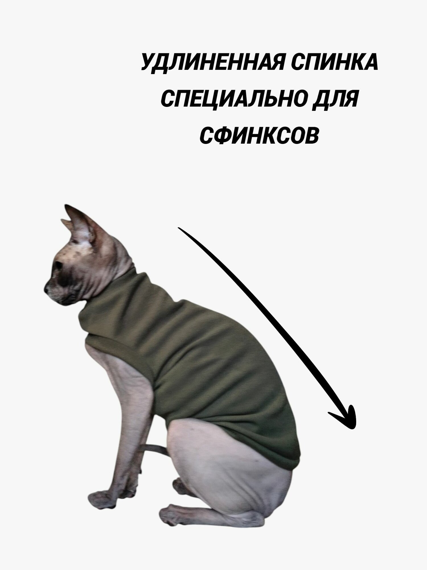 Одежда для животных