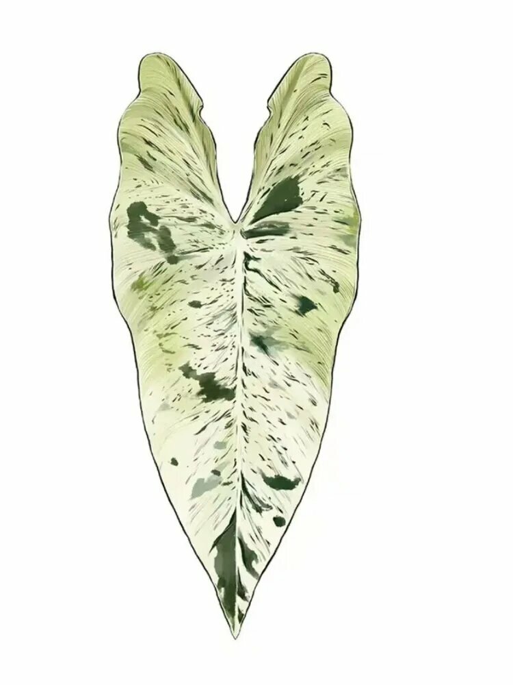 Магия Растений: Редкие тропические растения, креативные магниты на холодильник, декор для дома, серия растительных магнитов