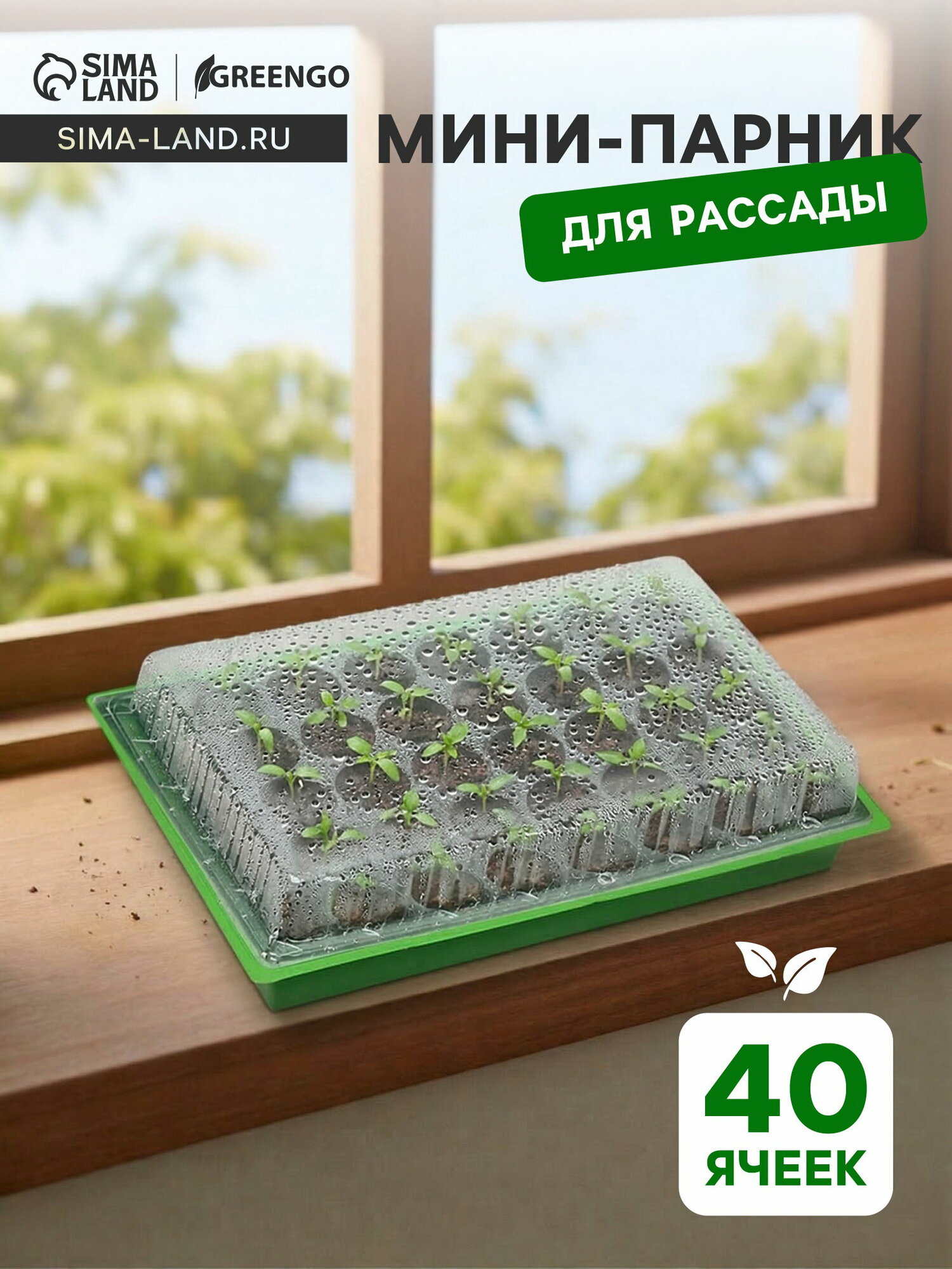 Мини-парник для рассады, 57x36x13.5 см, 1 вставка, 40 ячеек, цвет: зелёный, 3 шт.