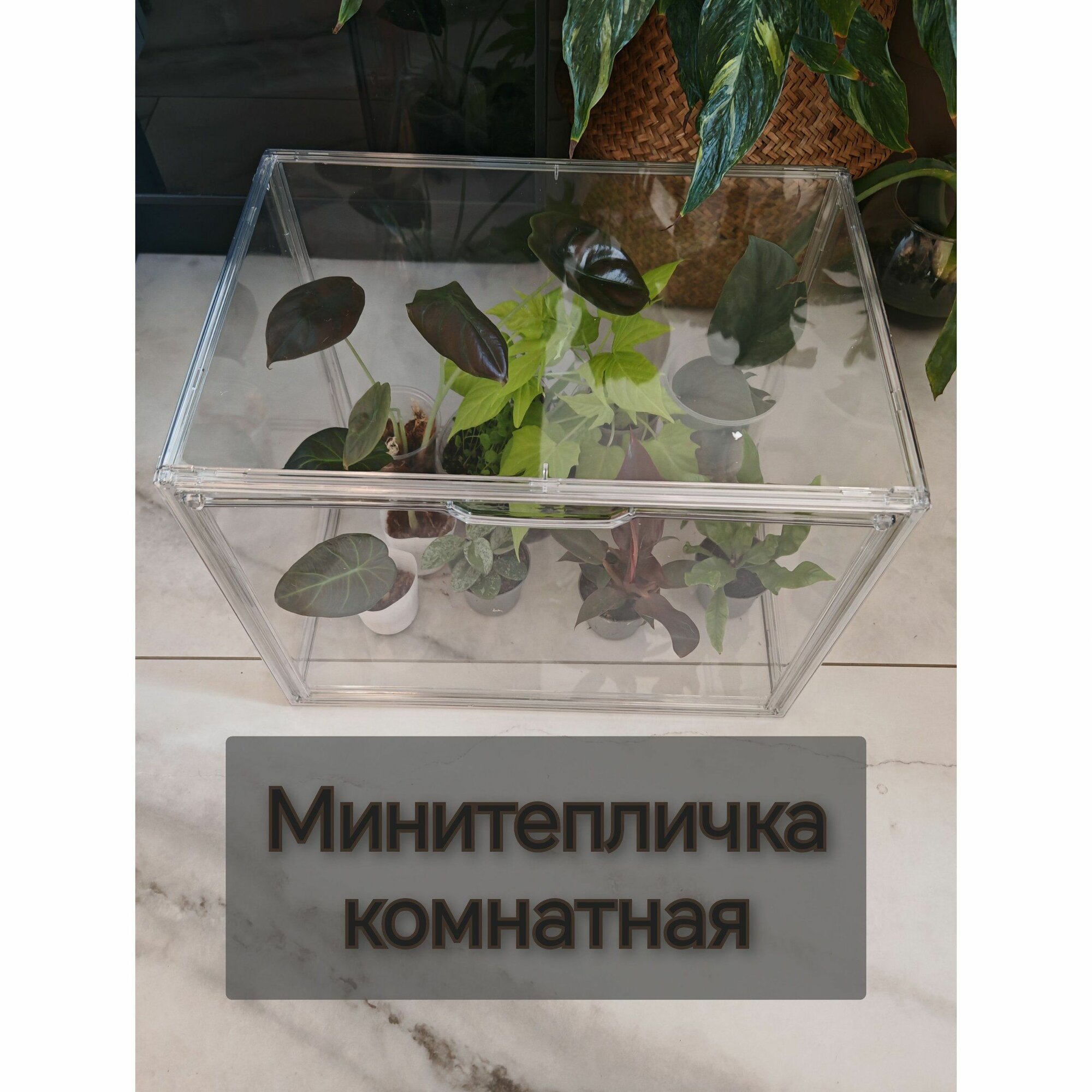 Комнатный парник 37х27х23 см, стильная минитепличка