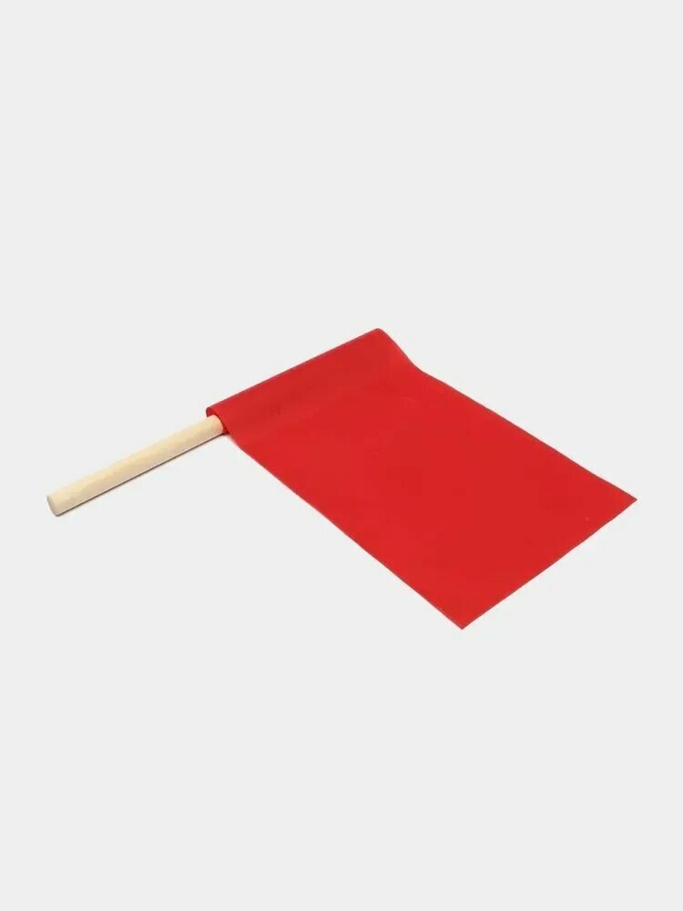 Судейский флаг