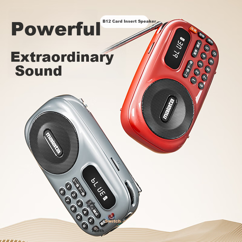 Malata B12 Портативный USB-накопитель с карт-слотом Bluetooth-колонка Мини FM-радио черный Цвет：B12 Черный
