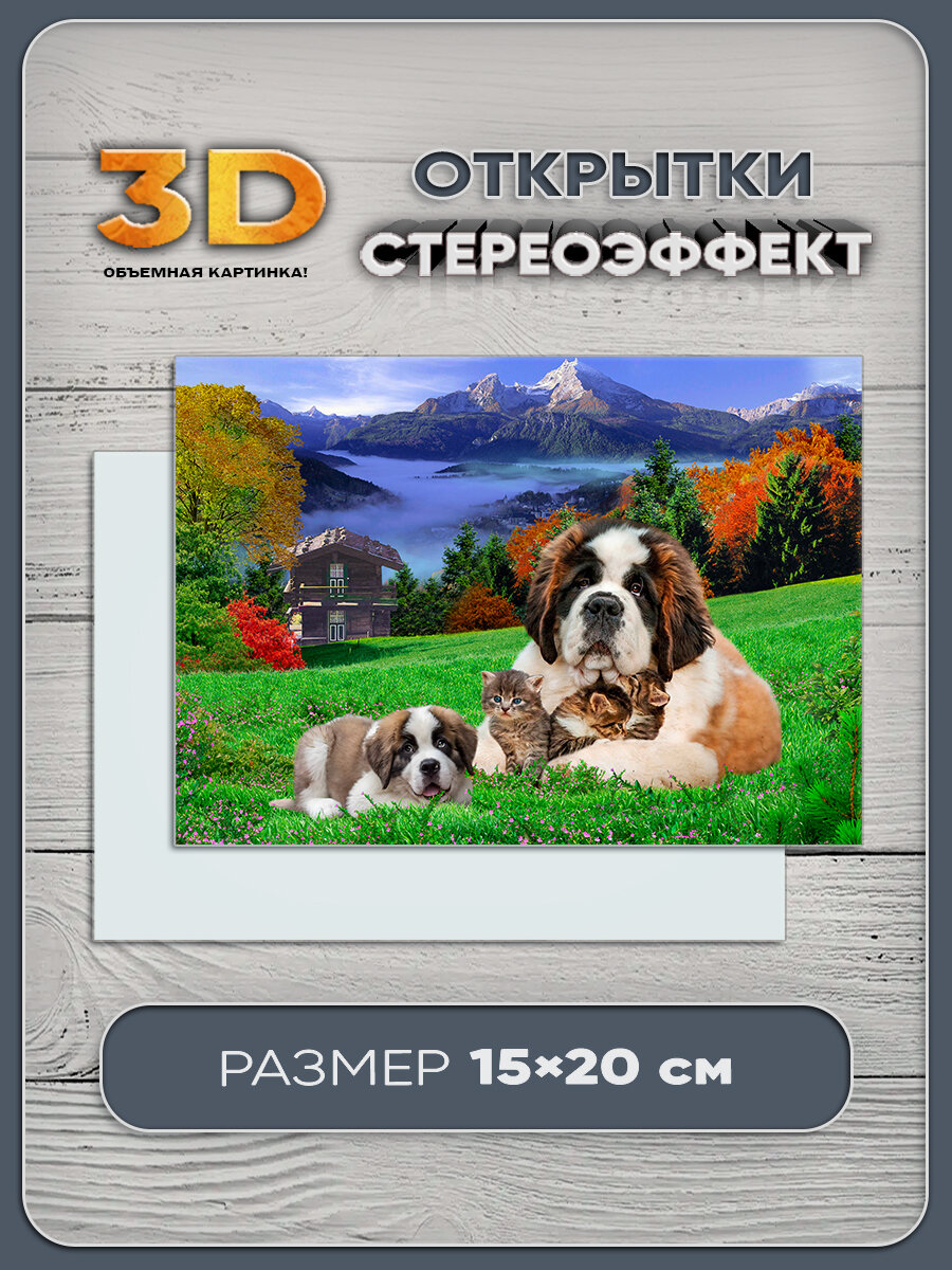 Стереооткрытка с 3D-эффектом "Сенбернары"