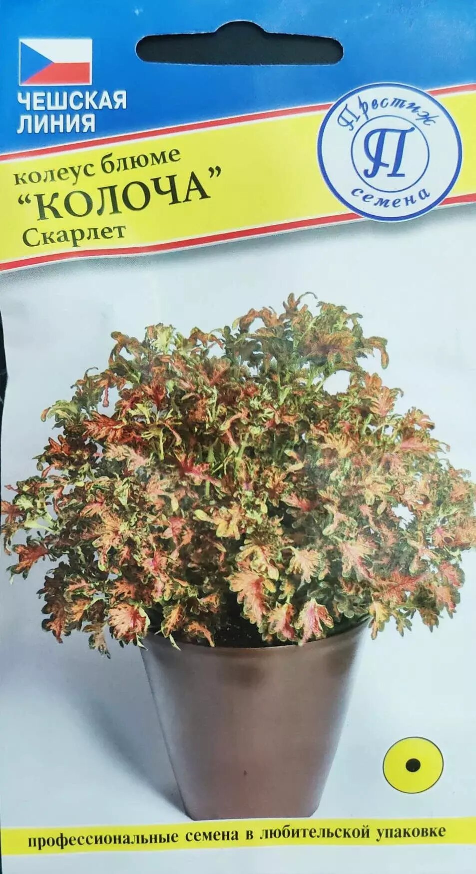 Семена колеуса "Колоча Скарлет Престиж", декоративно-лиственное, 5 шт.