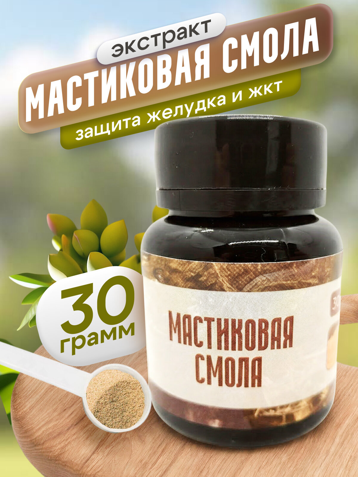 Экстракт , мастиковая смола, для ЖКТ, антиоксидантные свойства