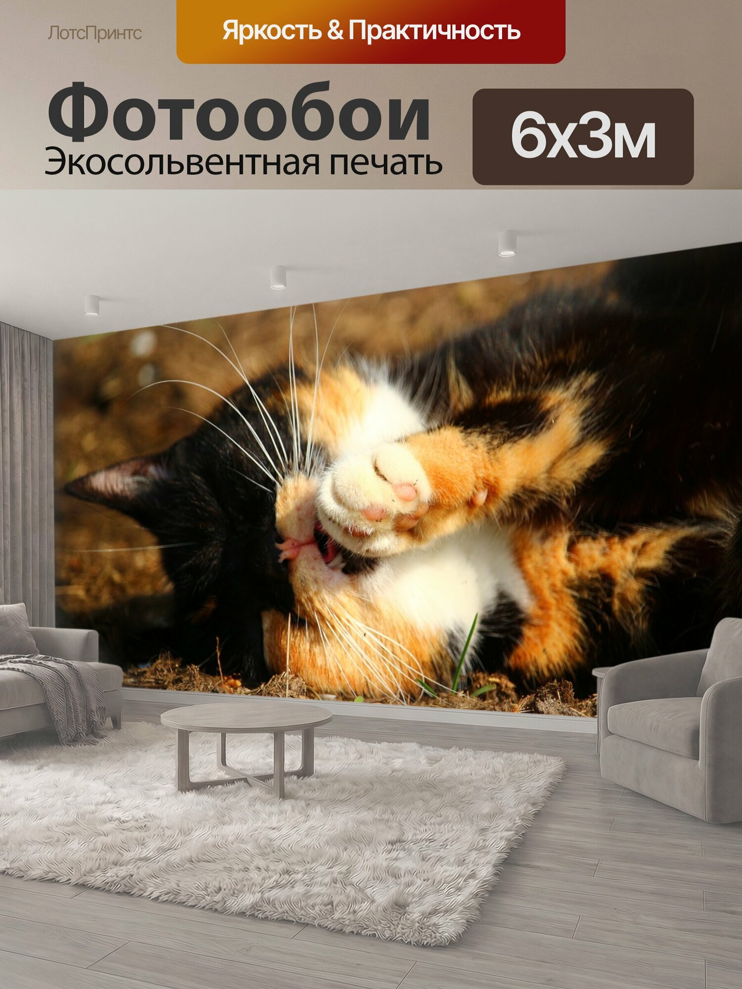 Фотообои "Кот, котенок, lucky cat" 600x300 см. экосольвентная печать