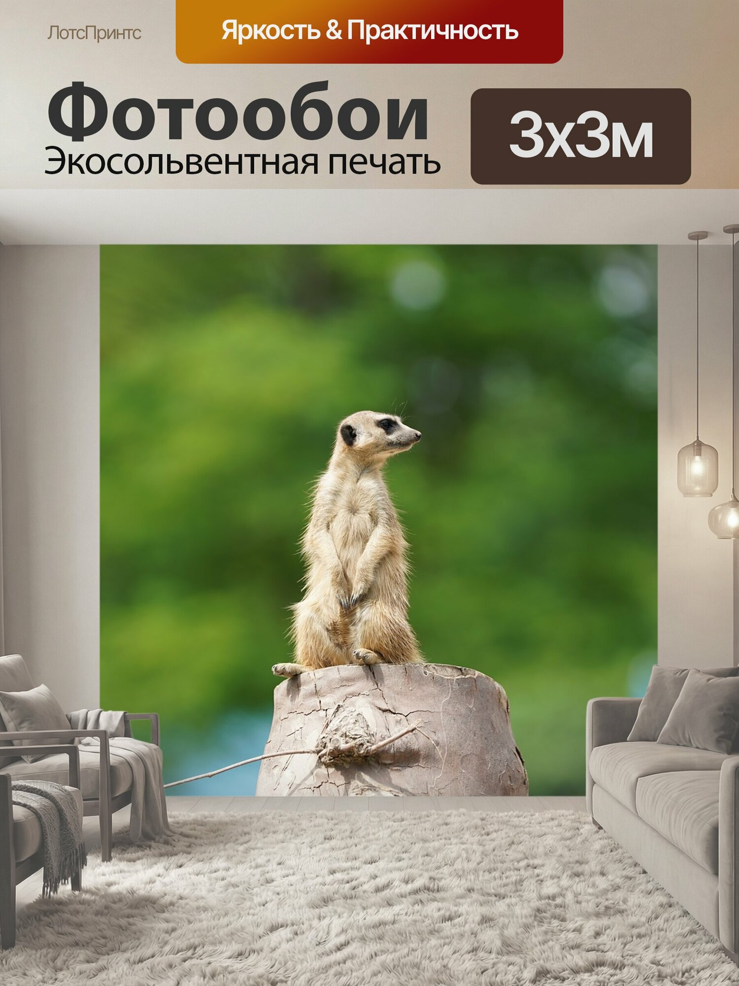Фотообои "Сурикат, осторожно, хранитель" 300x300 см. экосольвентная печать