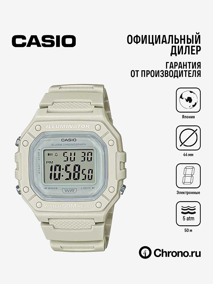  CASIO Collection Men