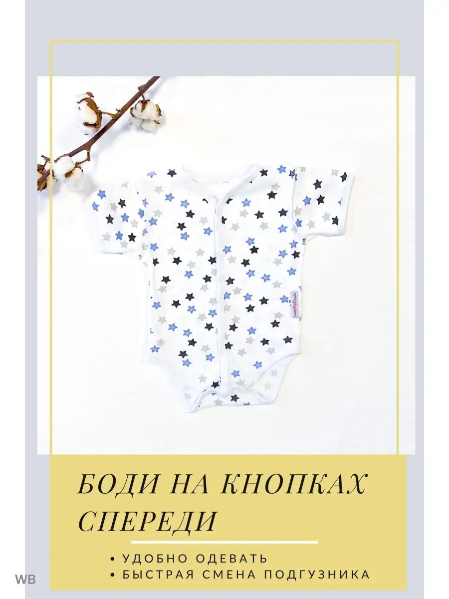 Боди