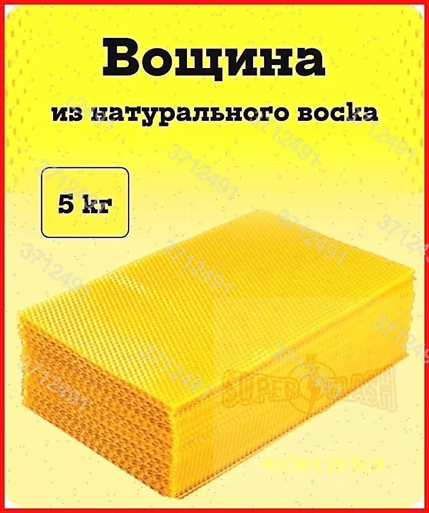 Вощина