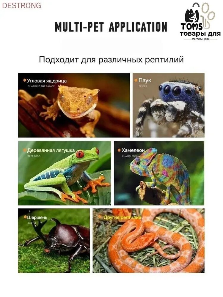 Террариум для рептилий 20*20*30cm акриловый стеклянный кубический контейнер для ящериц, амфибий, черепах, с отверстиями и дверью с запорным механизмом — фото 1