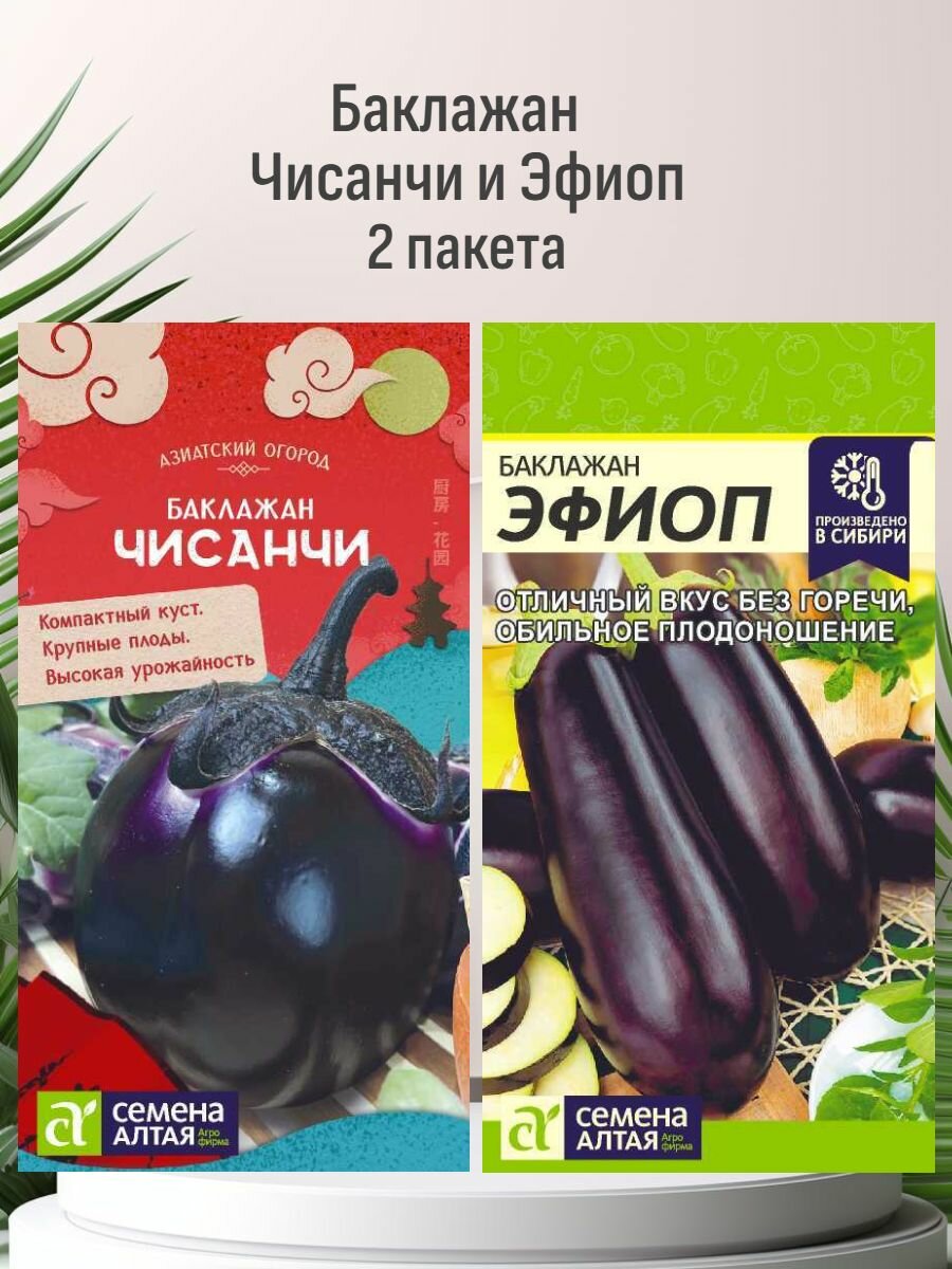 Баклажан Эфиоп и Чисанчи 2 пакета
